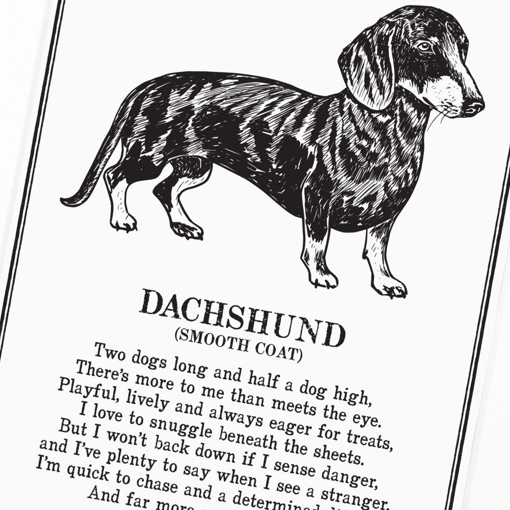 Gifts, Prints, Art & Cards for Dog Lovers | The Enlightened Hound