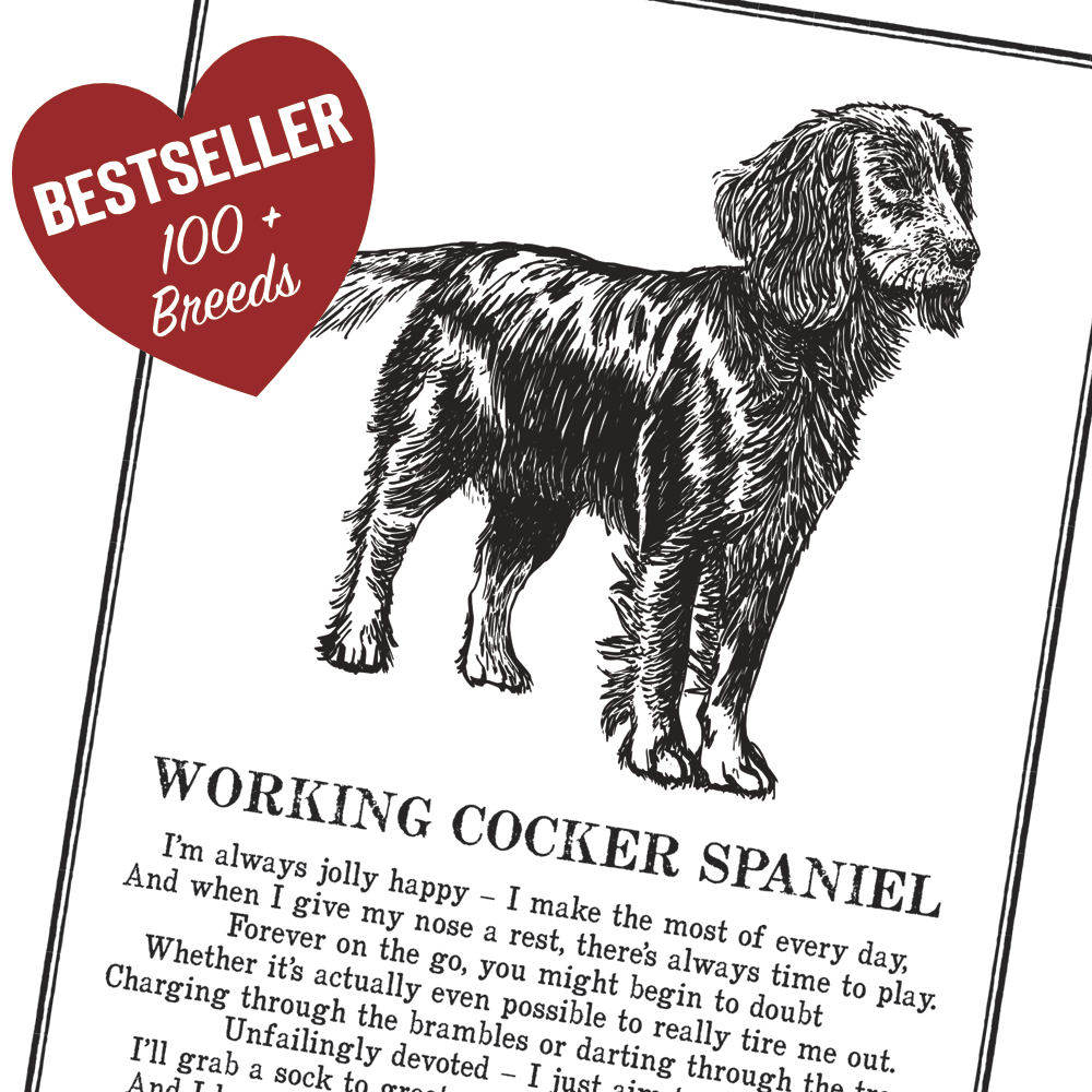 Gifts, Prints, Art & Cards for Dog Lovers | The Enlightened Hound